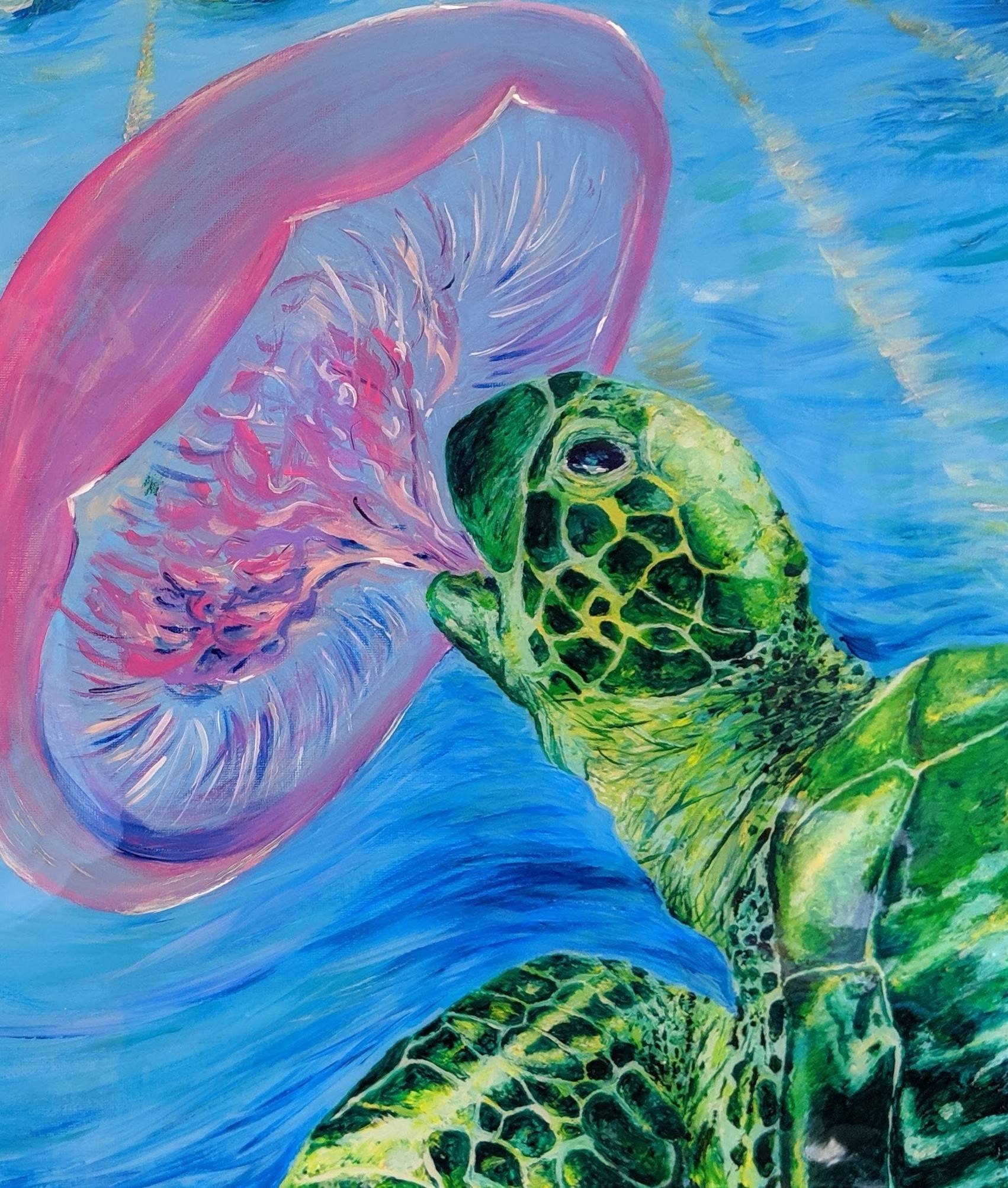 Green Sea Turtles Eating Jellyfish