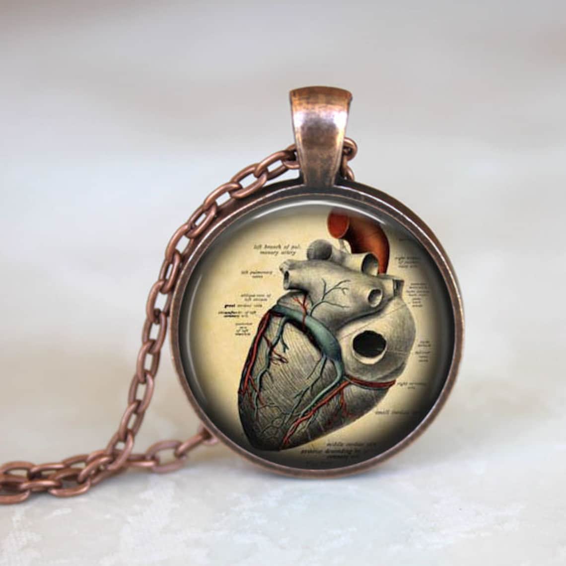 Anatomical Heart Necklace Anatomy Jewelry Heart Pendant Anatomical ...