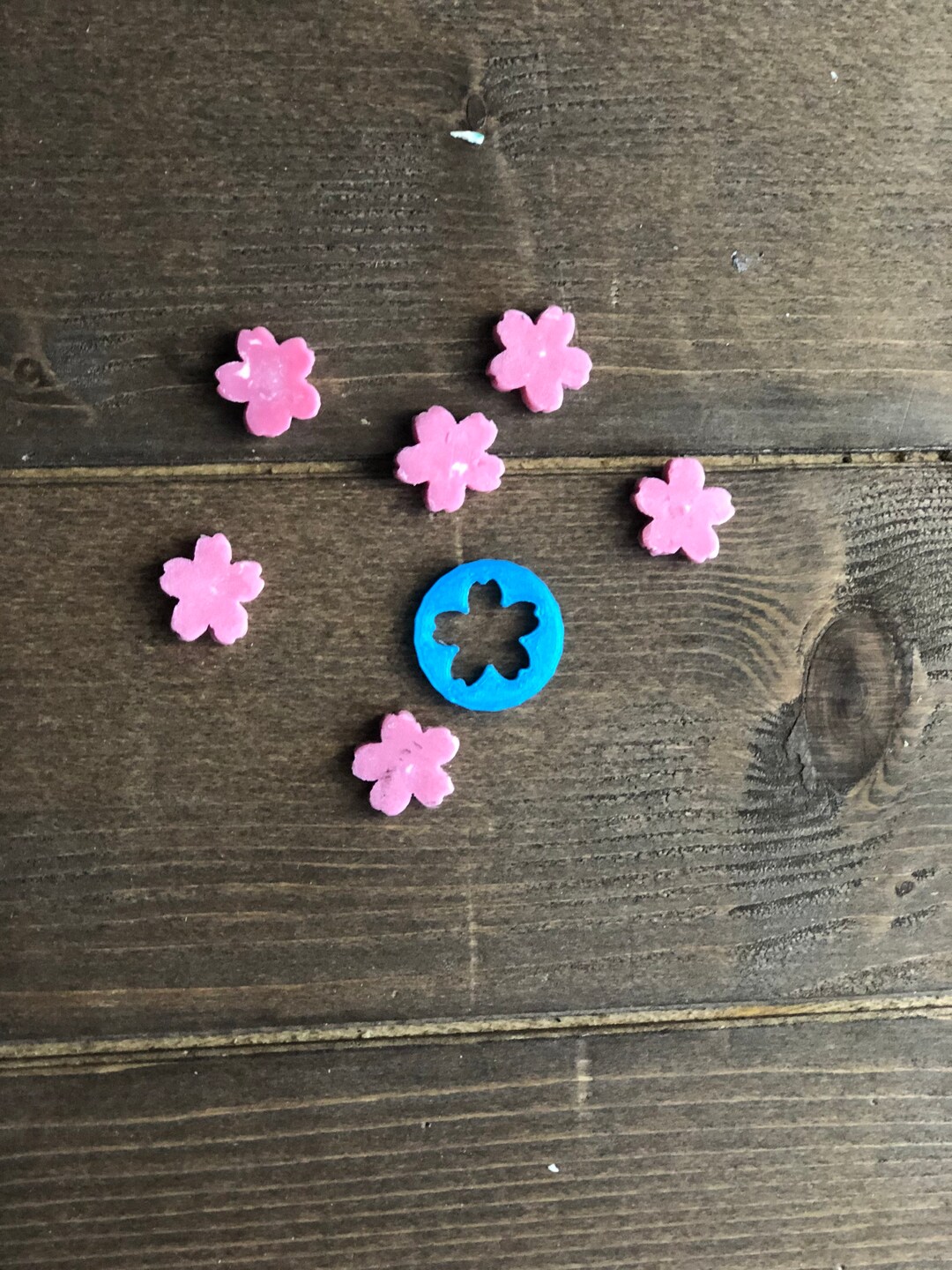 Cherry Blossom EXTRUDER DISC SET - Etsy