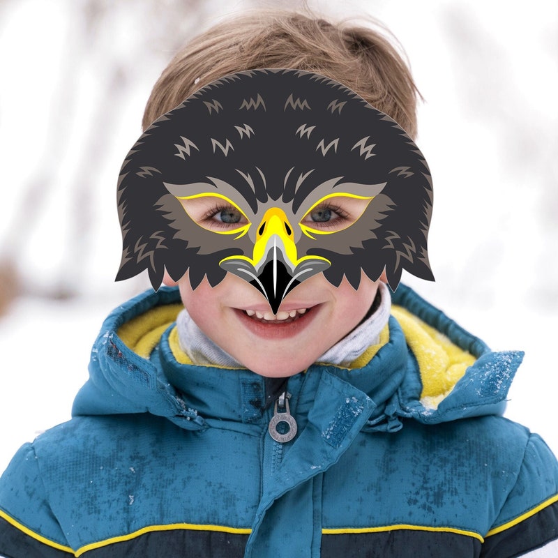 Peregrine Falcon - Etsy