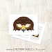 Falcon Hawk Mask Printable Golden Eagle Halloween Bird Prey Paper ...