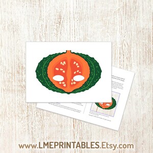 Pumpkin Mask Printable Food Activity School Fruit Costume Preschool ...