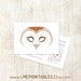 Barn Owl Mask Bird Printable Halloween Costume Party PDF Paper Craft ...