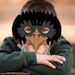 Crow Raven Mask Printable Halloween Costume Blackbird Animal Rook Paper ...