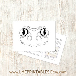 Frog Coloring Mask Printable Costume Toad Amphibian School Activity ...