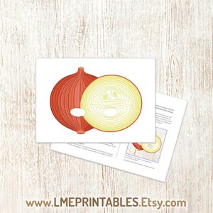 Onion Mask Printable Food Activity School Vegetables Costume Preschool ...