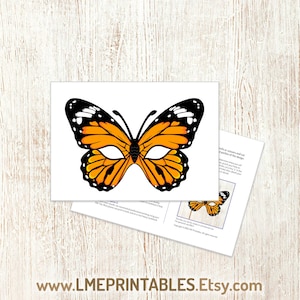 Monarch Butterfly Mask Printable Costume Animal Insect Bug Nymph Moth ...