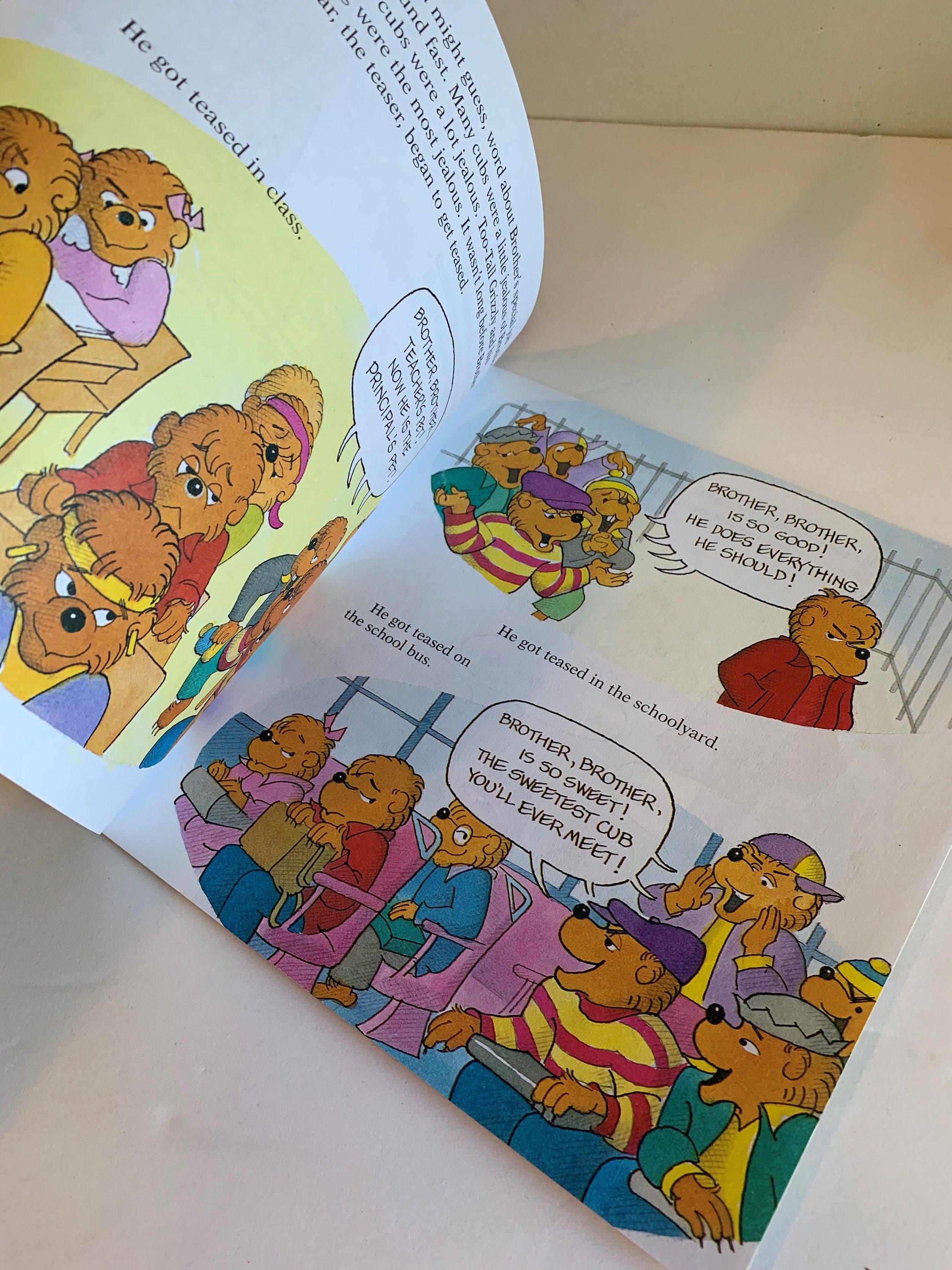 The Berenstain Bears Book Vintage Berenstein Bears Book - Etsy