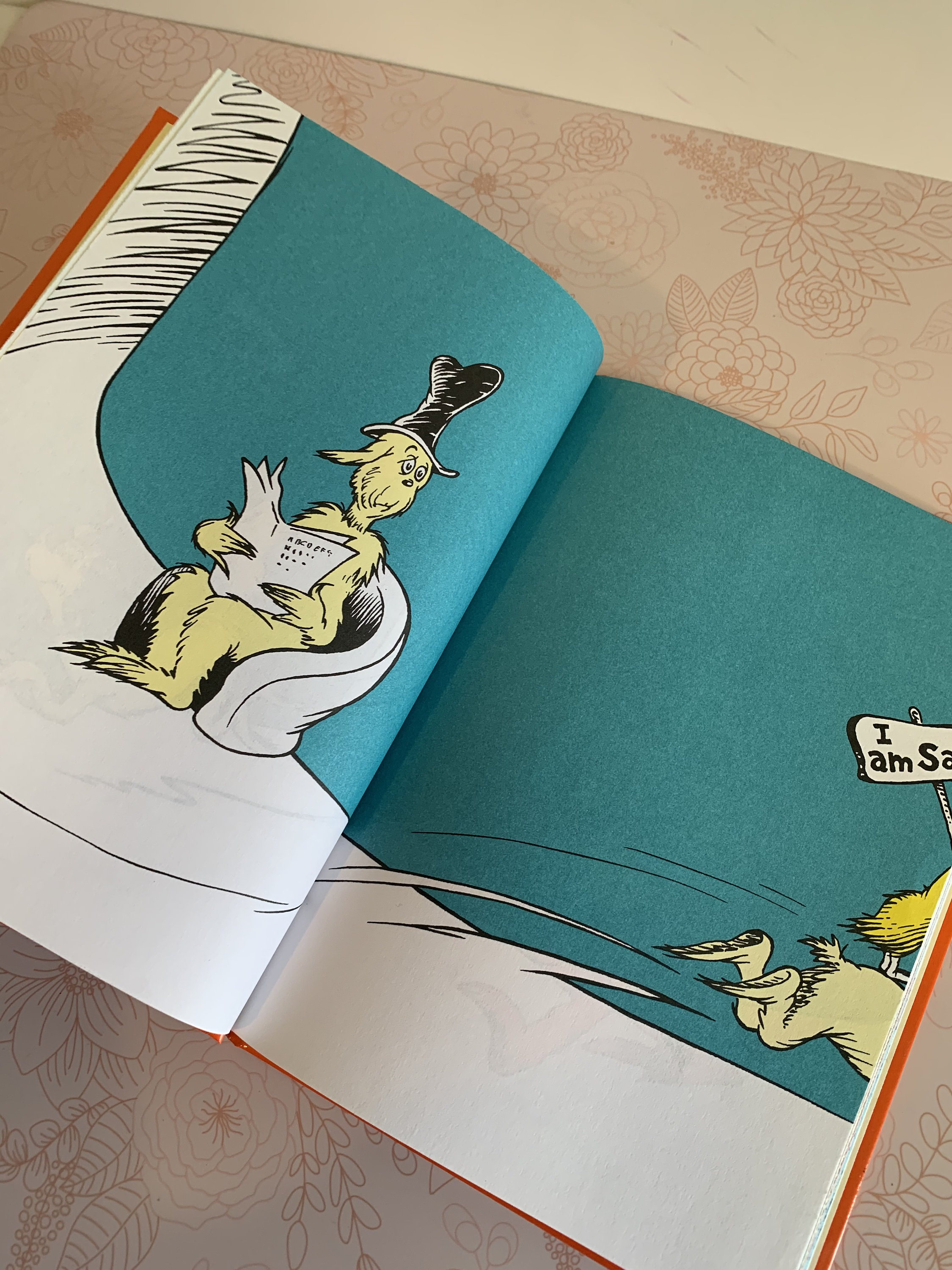 Green Eggs And Ham Dr Seuss Beginner Book Dr Seuss Etsy