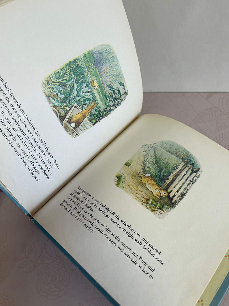 The Tale of Peter Rabbit by Beatrix Potter Peter Rabbit Book - Etsy
