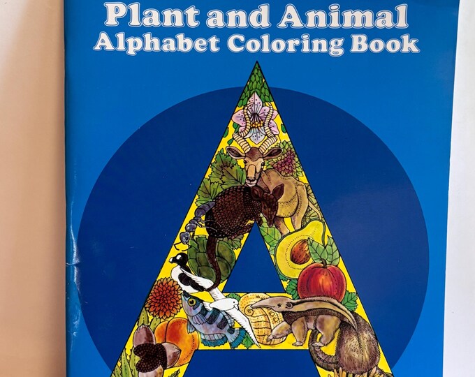 Vintage Dover Coloring Book, Vintage Coloring Book, Leslie Tillet ...