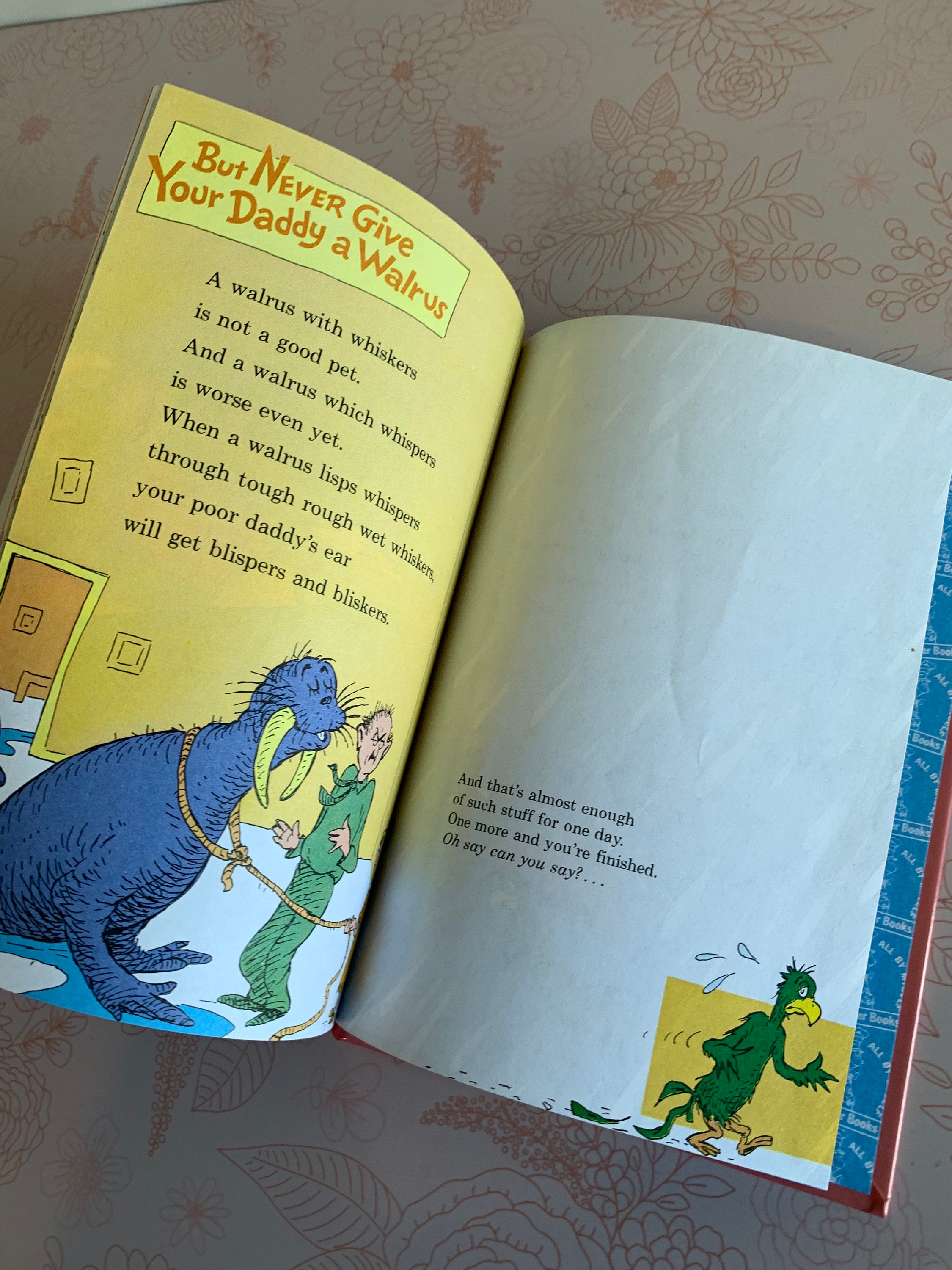 Oh Say Can You Say Dr. Seuss Beginner Book Dr Seuss - Etsy