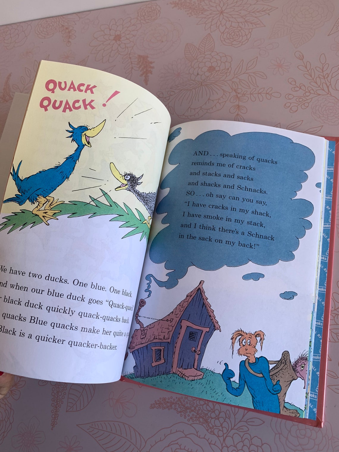 Oh Say Can You Say Dr. Seuss Beginner Book Dr Seuss - Etsy