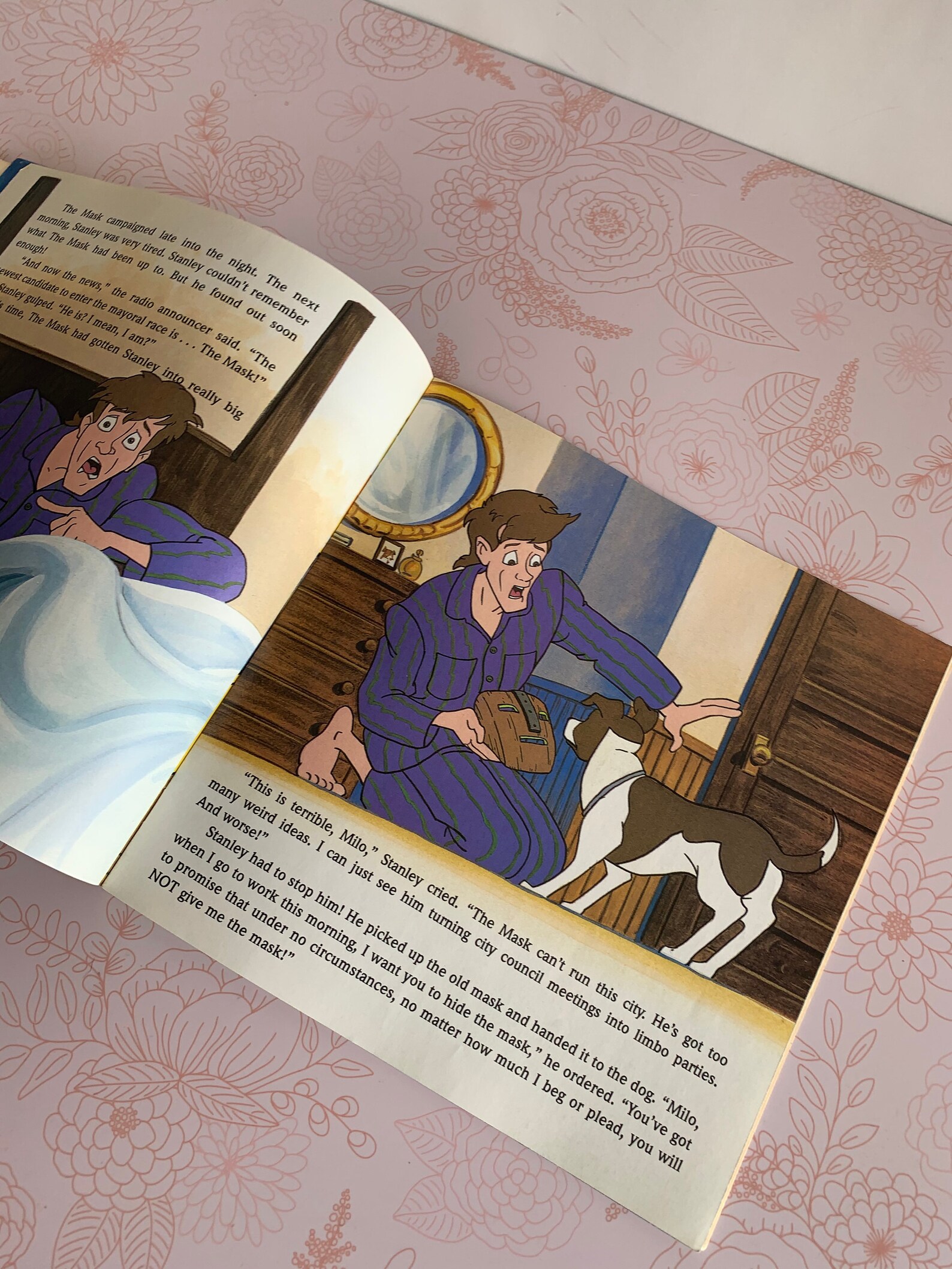 Vintage the Mask Book the Mask Animated Series Book the Mask - Etsy