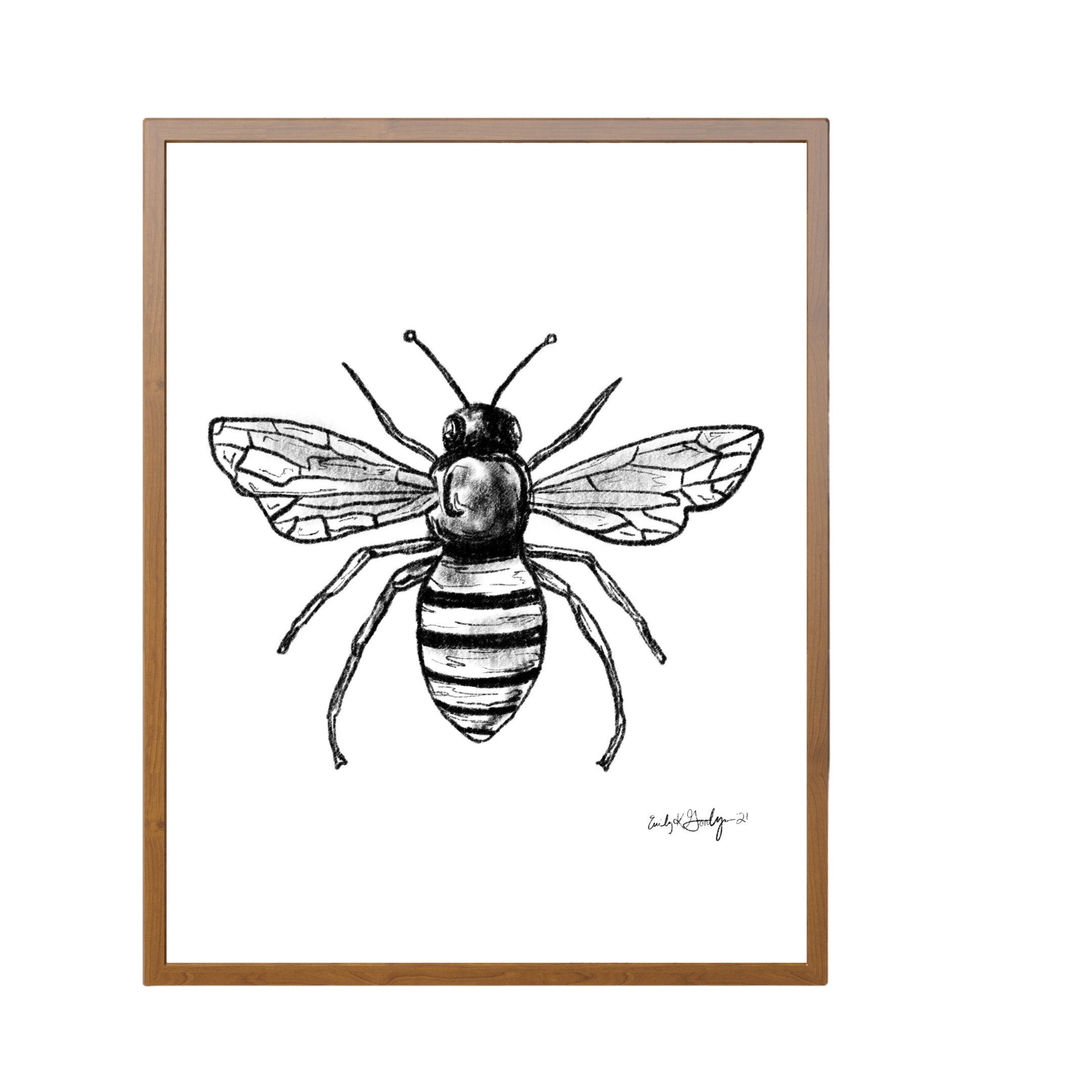 Honey Bees Drawings