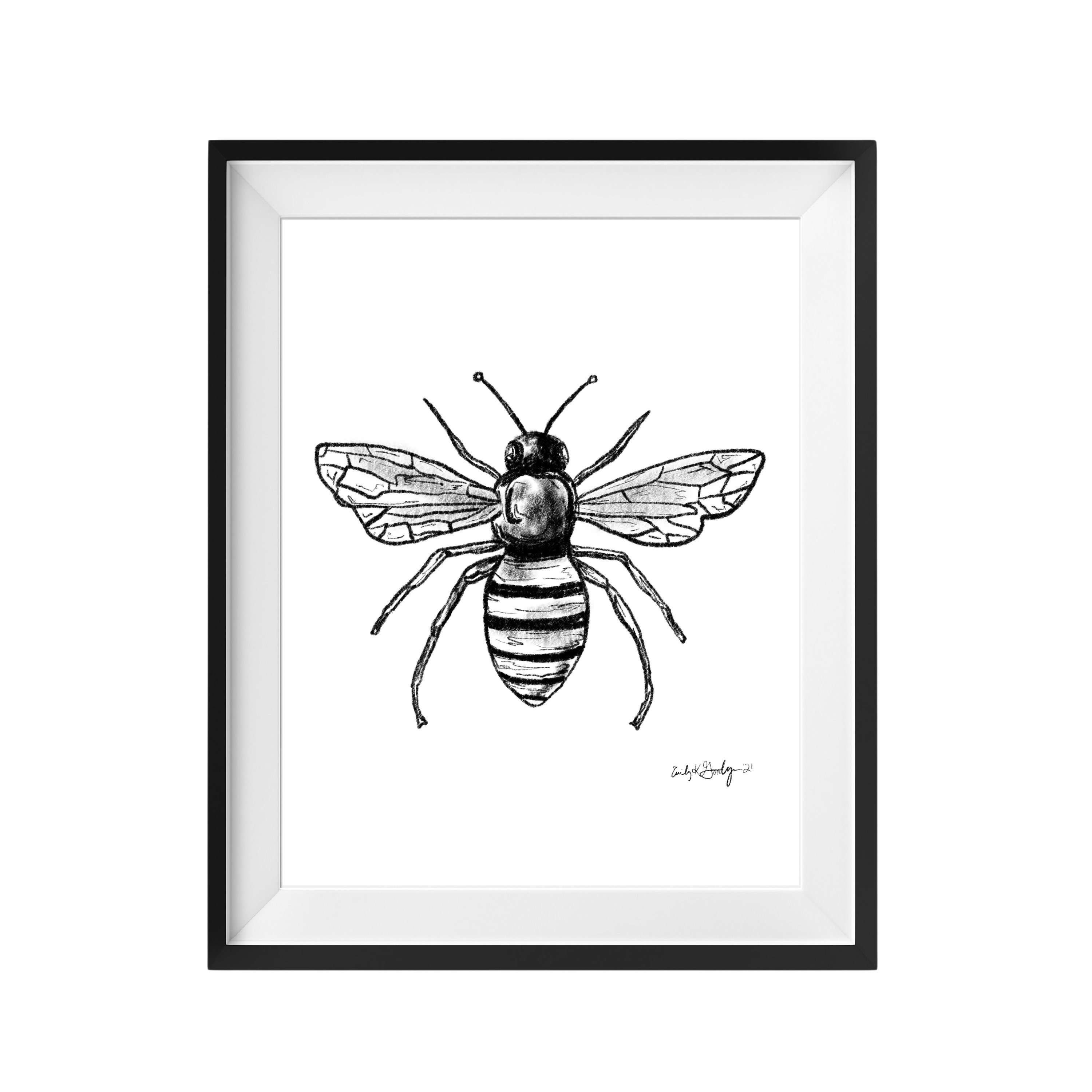 Single Honey Bee Drawing Art Print, Home Decor, Spring and Summer Home ...