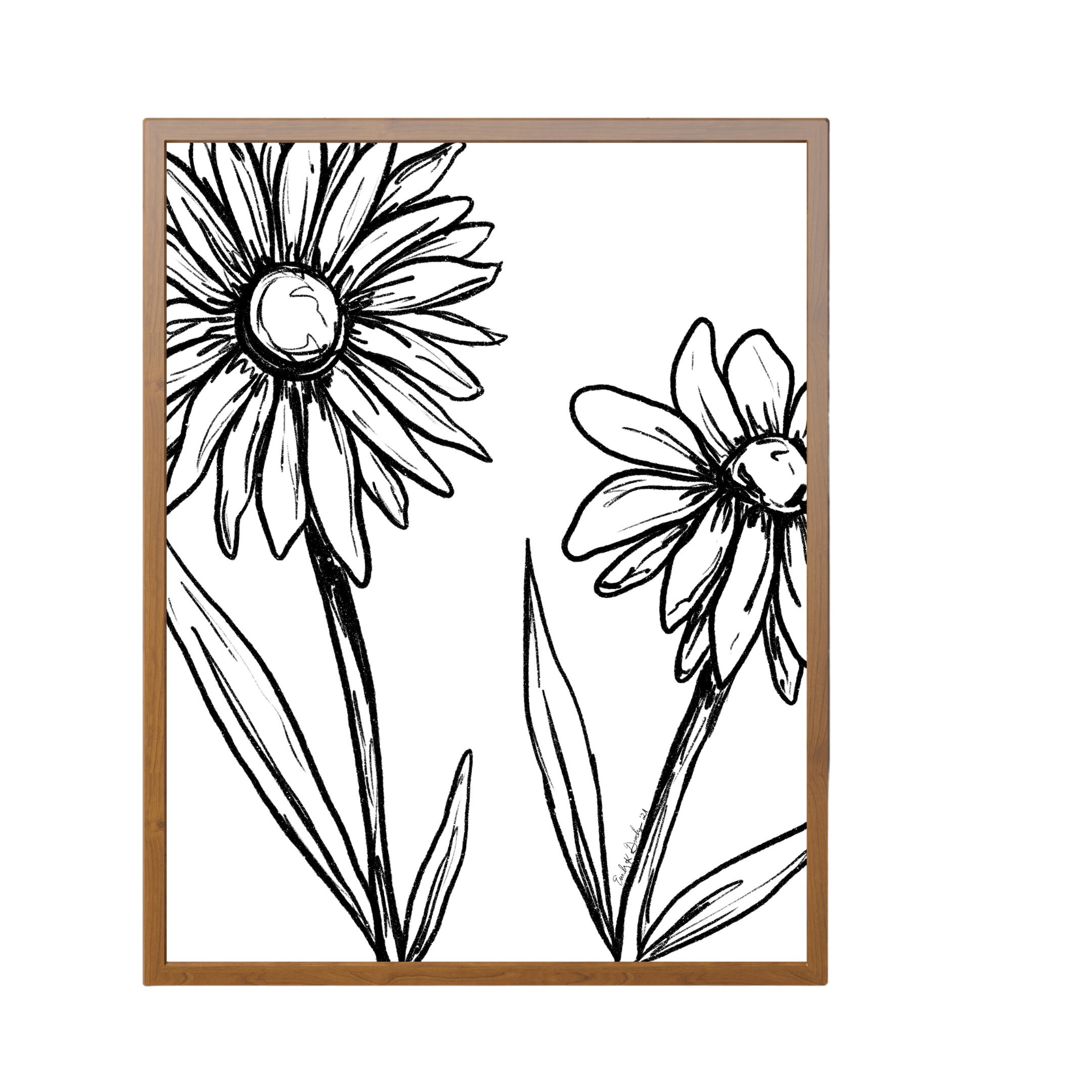 Rustic Floral Daisy Drawing Fine Art Print, Home Decor, Spring/summer ...