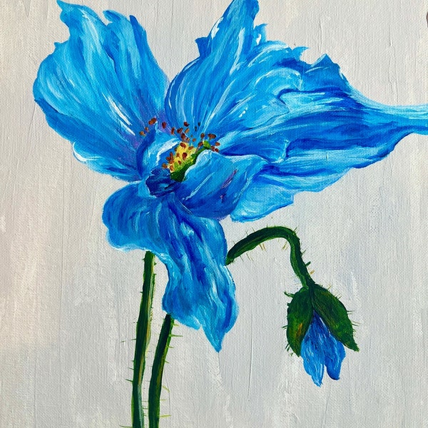 Himalayan Blue Poppy - Etsy
