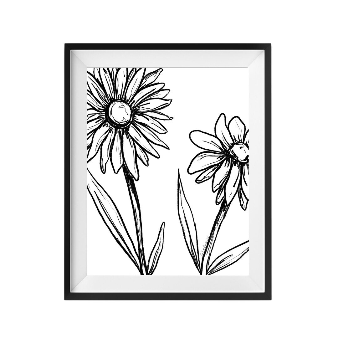 Rustic Floral Daisy Drawing Fine Art Print, Home Decor, Spring/summer ...