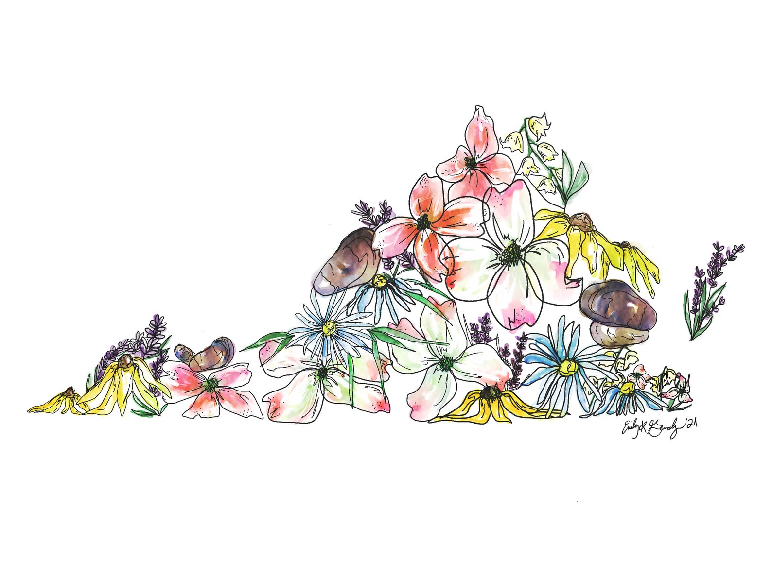 VIRGINIA State Fine Art Print, Watercolor Wildflower, Home Decor, House ...