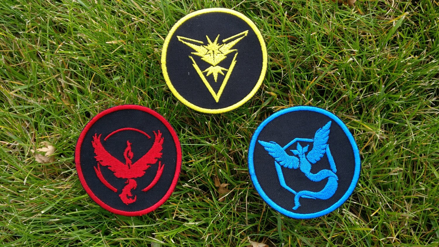 Pokemon Patch Pokemon Badge Pokemon Team Badge Team - Etsy