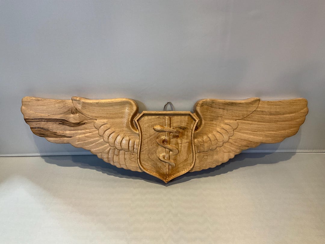 USAF Flight Surgeon Badge - Etsy