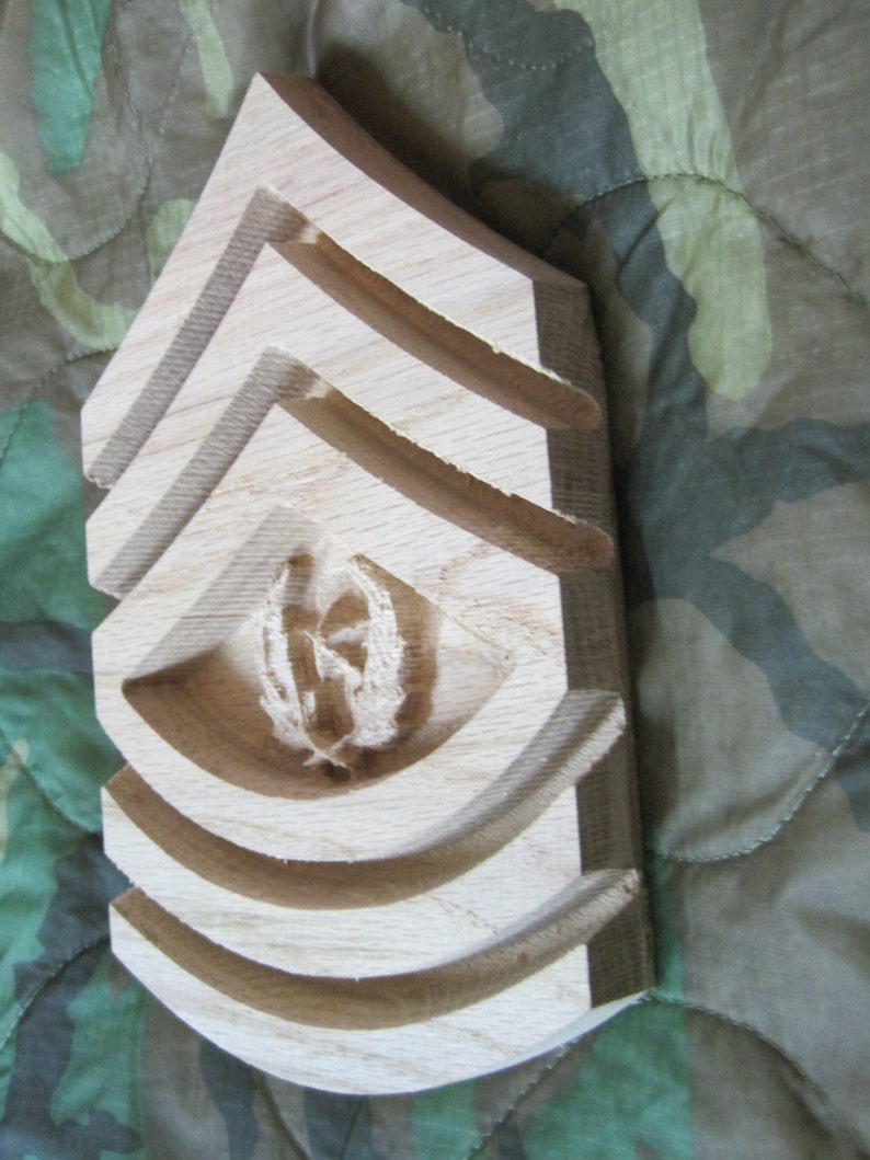 Command Sergeant Major E-9 Plaque Approx 10x6 - Etsy