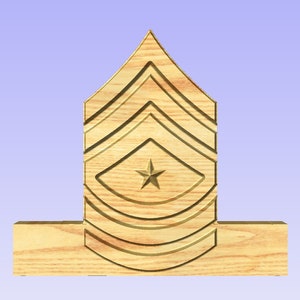 First Sergeant, 1SG, Sergeant Major, SGM, Command Sergeant Major, CSM ...
