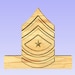 First Sergeant, 1SG, Sergeant Major, SGM, Command Sergeant Major, CSM ...