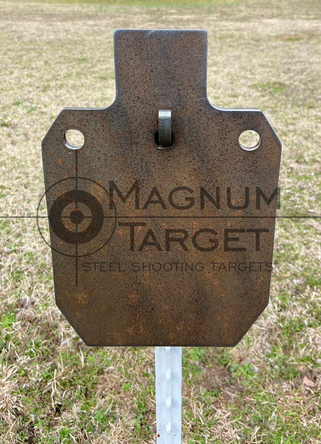 Magnum Target 8x12 IDPA/ISPC Steel Shooting Target 3/8 - Etsy