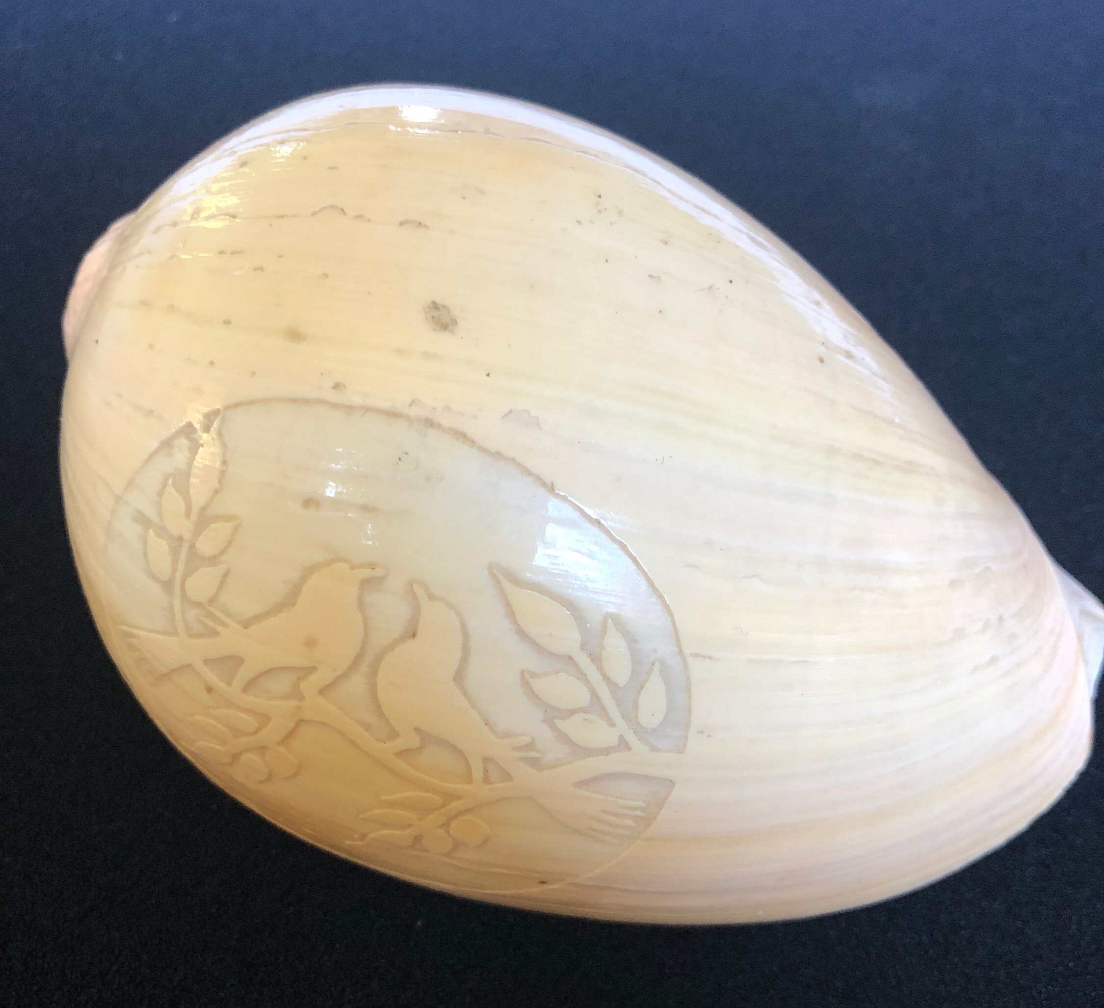 Vintage Carved Shell - Etsy