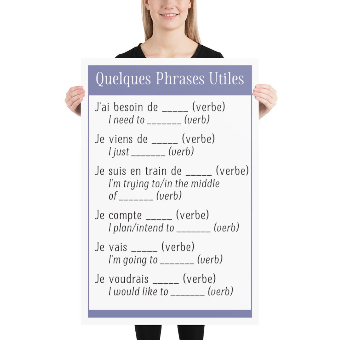French Language Quelques Phrases Utiles Poster - Basic Phrases for ...