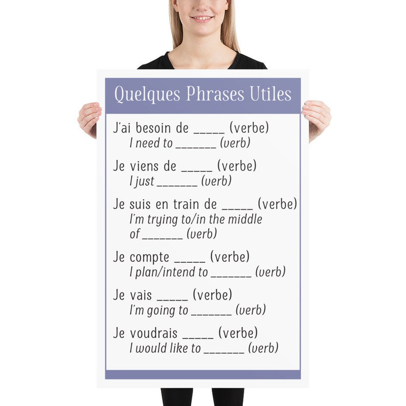 French Language Quelques Phrases Utiles Poster - Basic Phrases for ...
