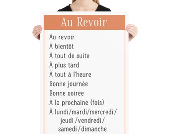 French Language Les Salutations Poster - Basic Phrases for Classroom ...