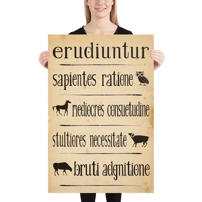 Latin Poster - Etsy