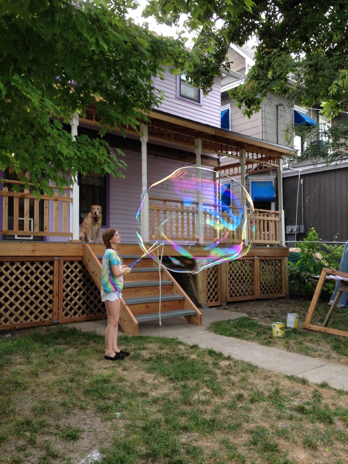 Magic Bubble Powder 5 or 12 Pack. to Make the Most Amazing Bubbles You ...