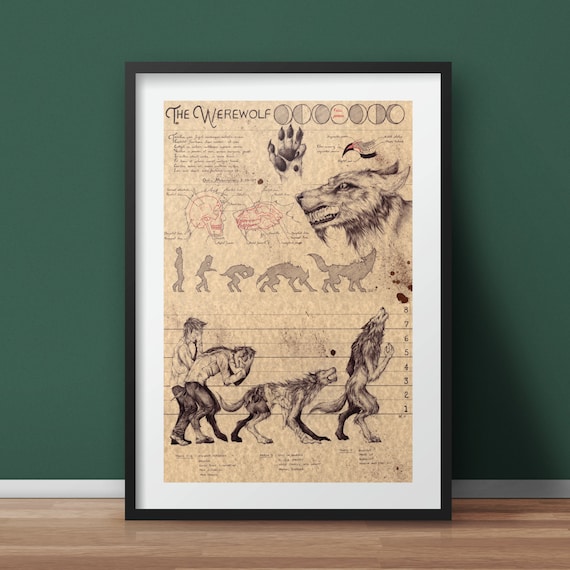 Large Werewolf European Folklore Art Print - Etsy