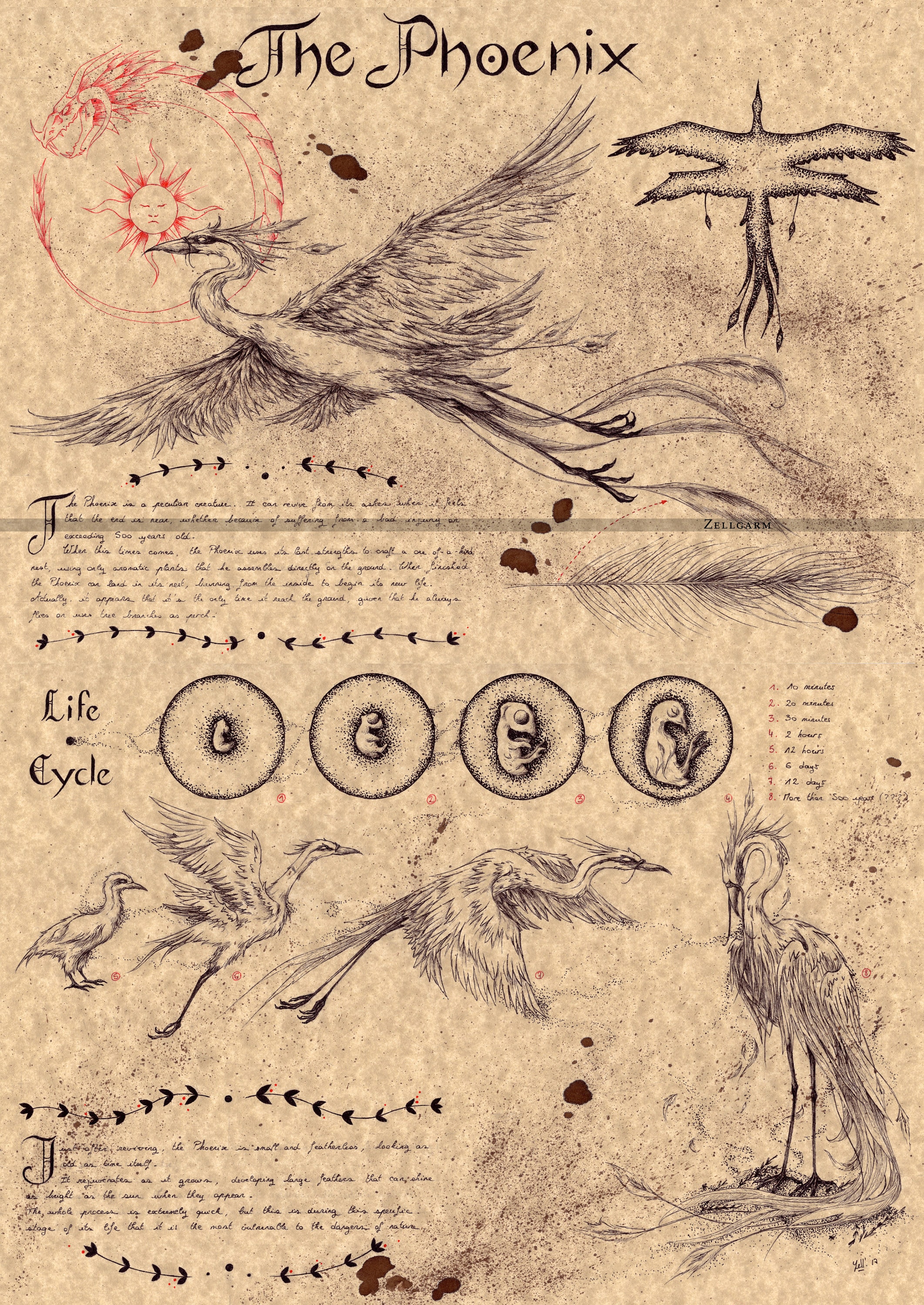 Large Phoenix European Folklore Art Print | Etsy