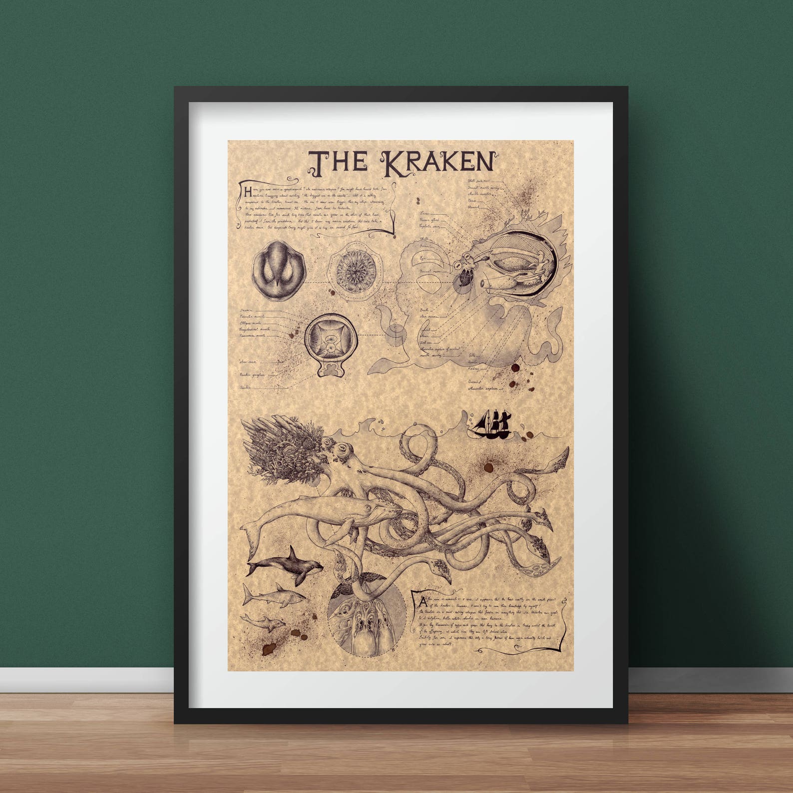 Large - Kraken - Mythology Art Print - Etsy