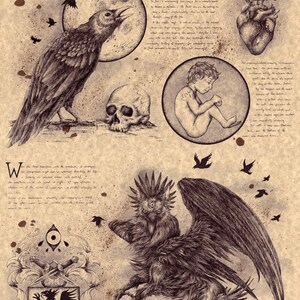 Large - Valravn - Danish Folklore Art Print - Etsy