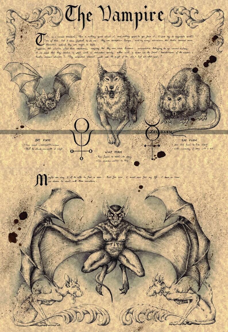 Large Vampire European Folklore Art Print - Etsy