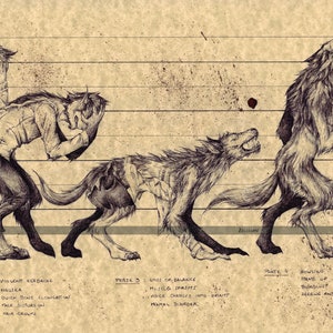 Big Poster - Werewolf Transformation - Mythology Art Print - Etsy