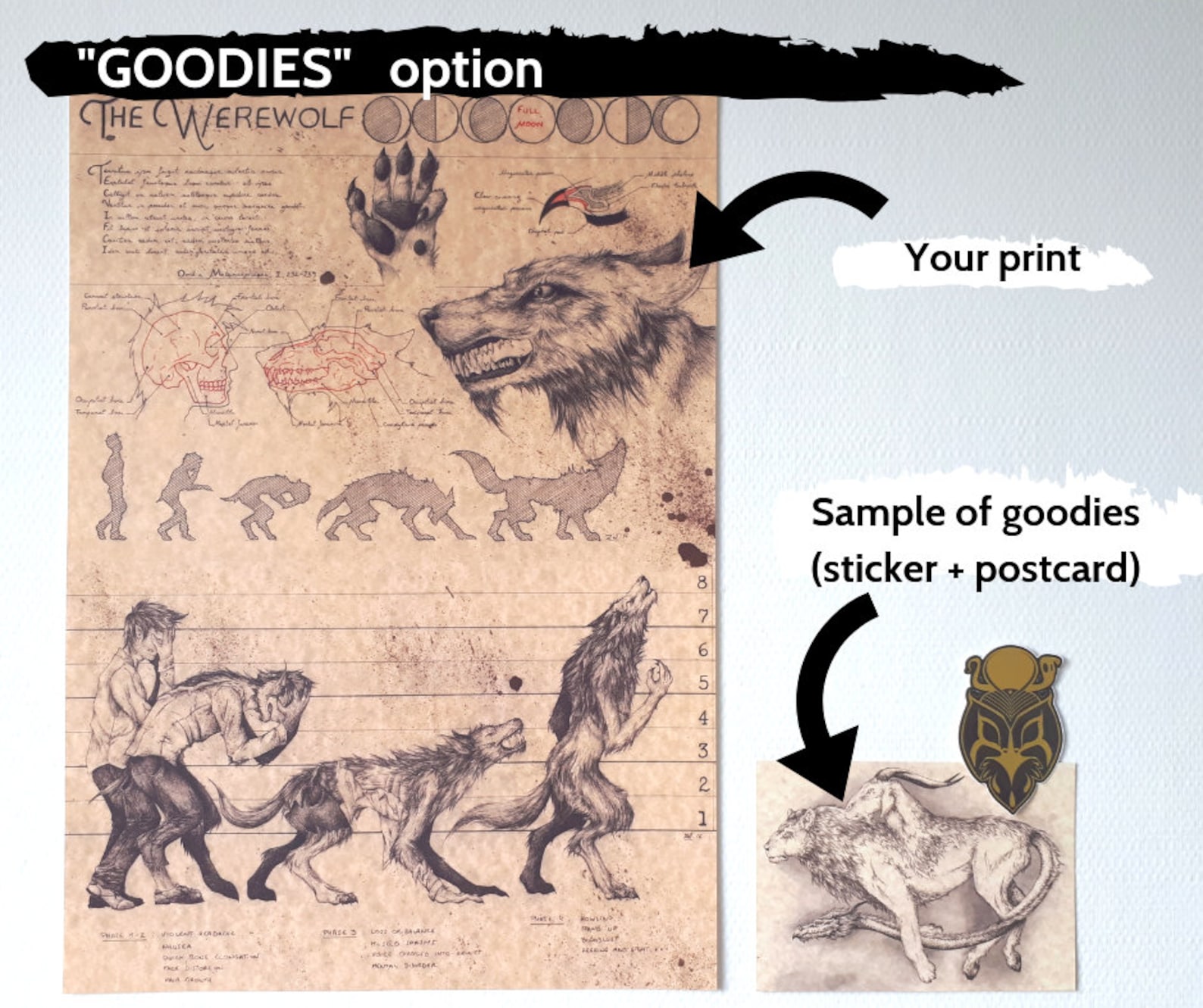 Large Werewolf European Folklore Art Print - Etsy