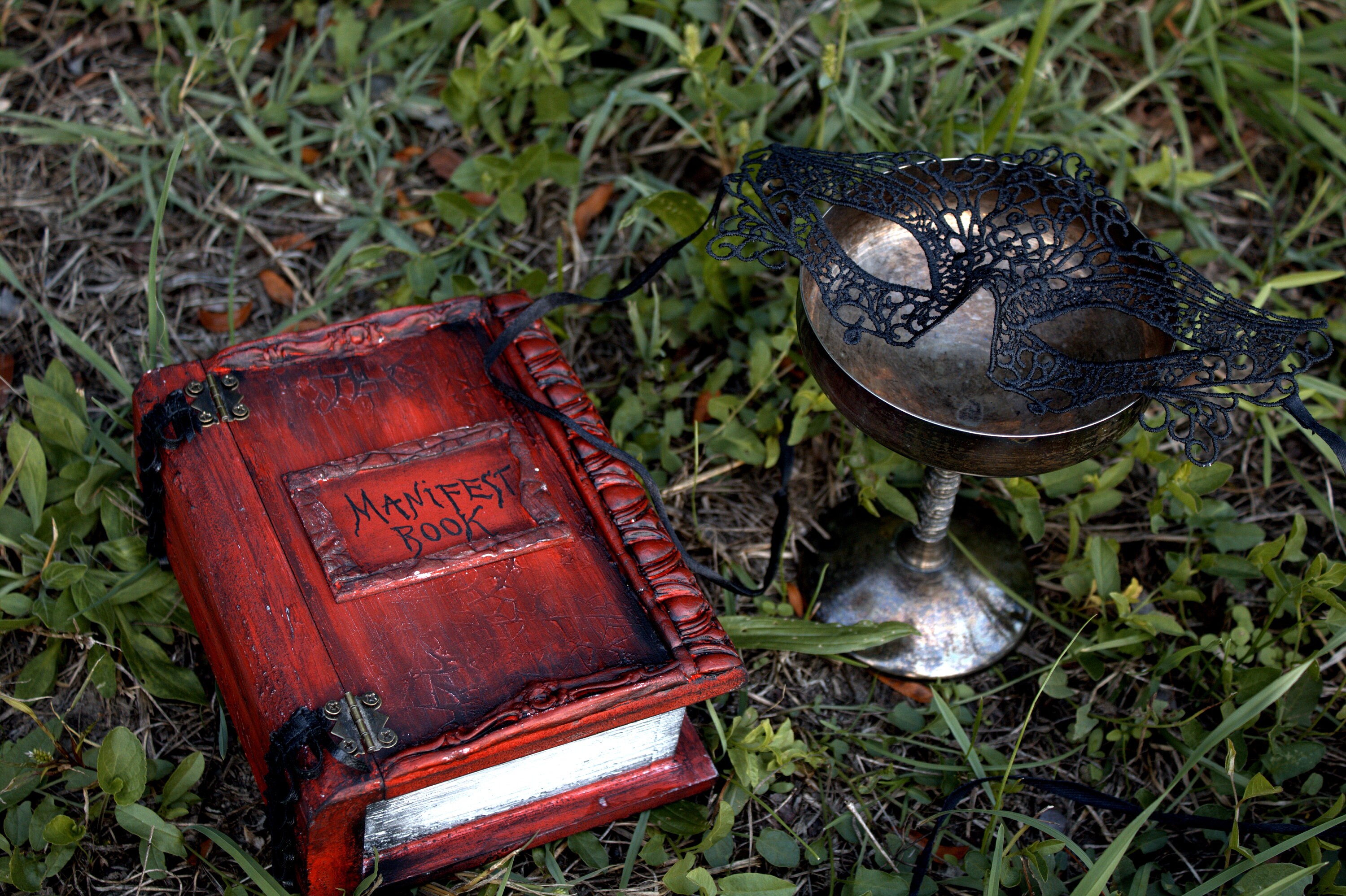 Manifest book box Vampire blood diary Book of shadows box Book | Etsy