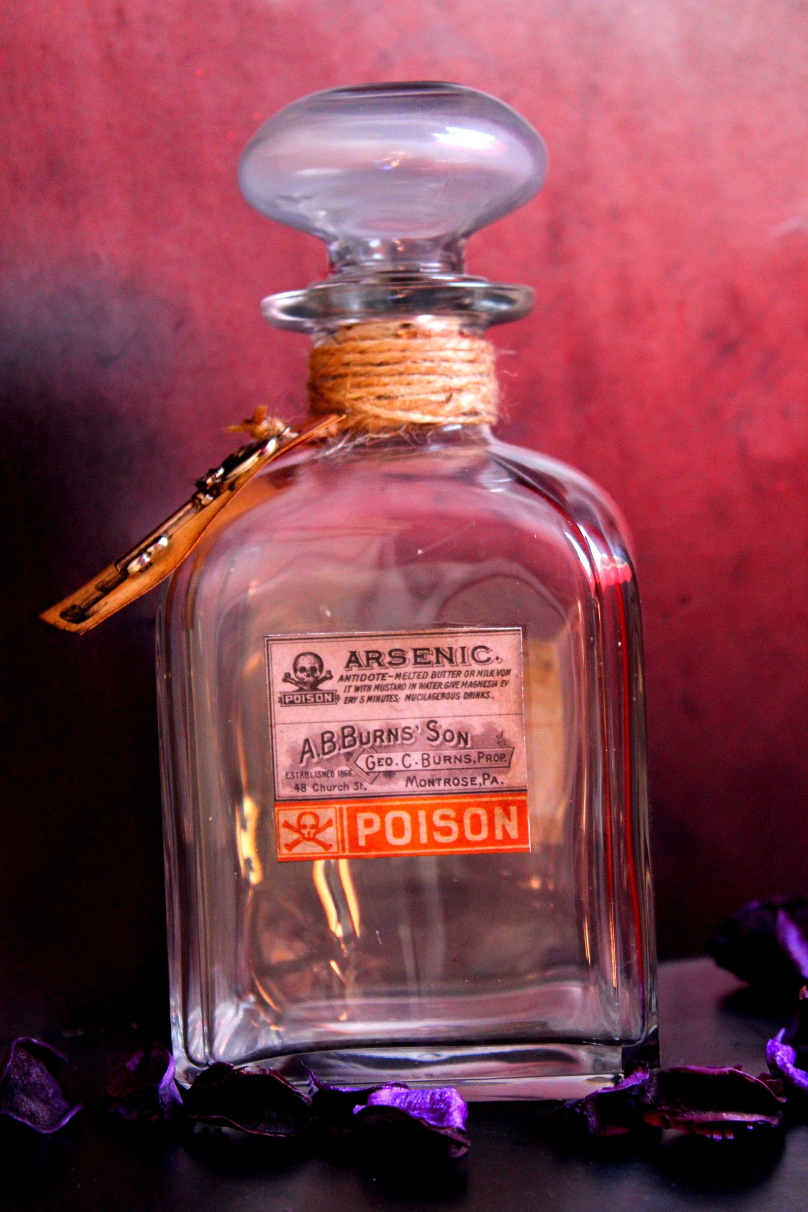 Gothic decanter Poison bottle Arsenic bottle Alchemy | Etsy