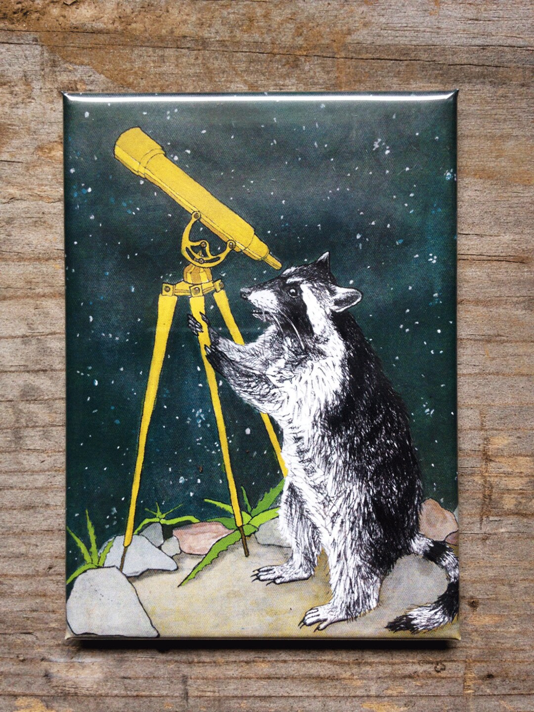 Raccoon Telescope Magnet - Etsy