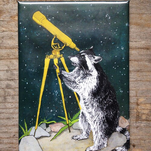 Raccoon Telescope Magnet | Etsy