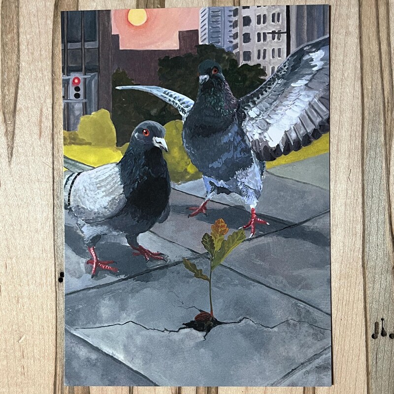 Pigeon Postcards - Etsy