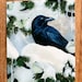 Crow in Snow Greeting Card - Etsy