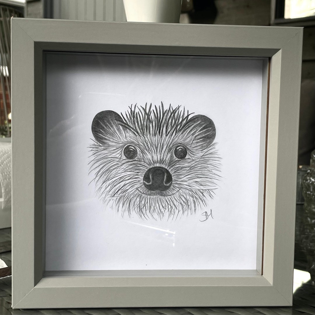Art Original Drawing Sketch Pencil African Pygmy Hedgehog Picture Free ...